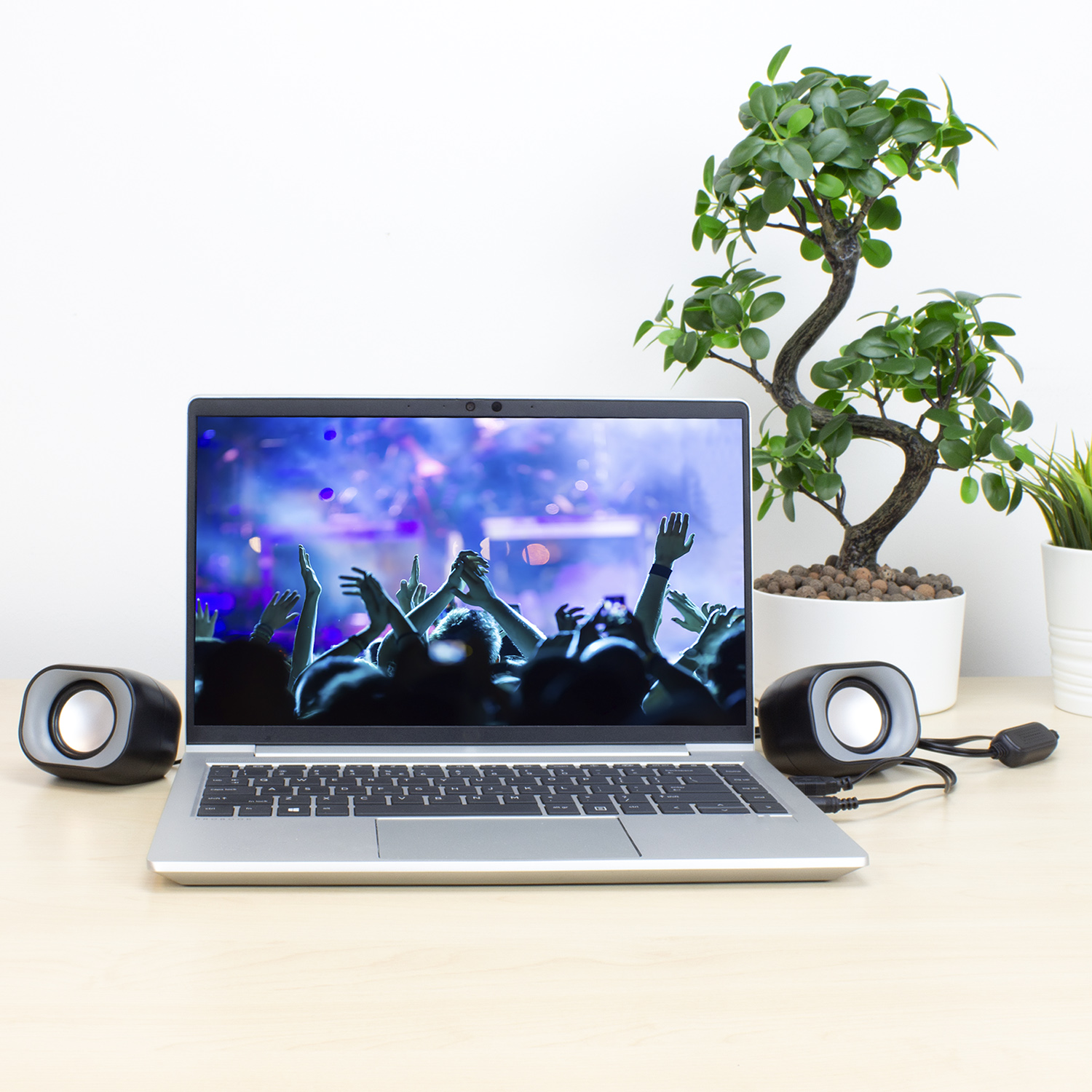 EM3513 Product information 2.0 Speakerset USB powered for PC and Laptop ...